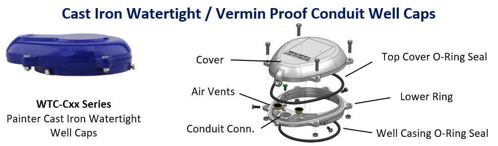 How do I identify a well cap model number for replacement parts?