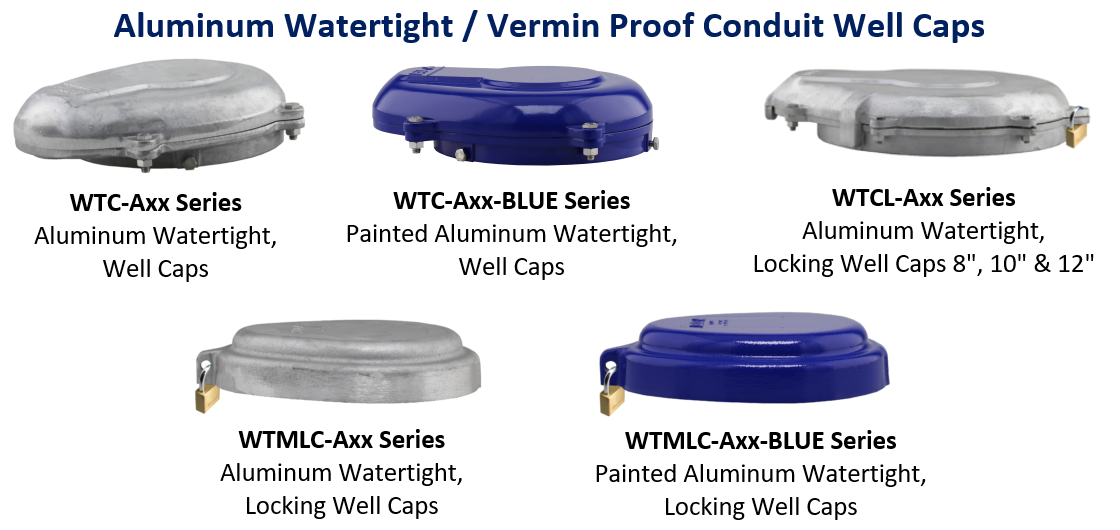How do I identify a well cap model number for replacement parts?
