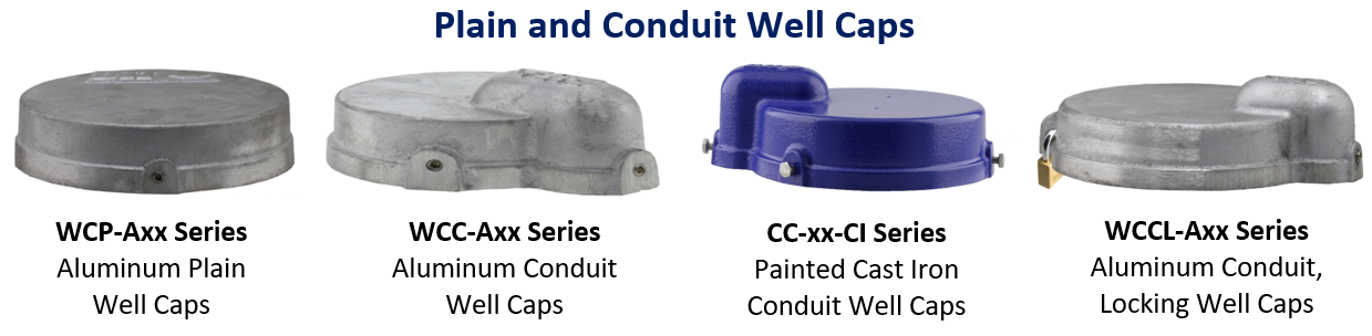 How do I identify a well cap model number for replacement parts?